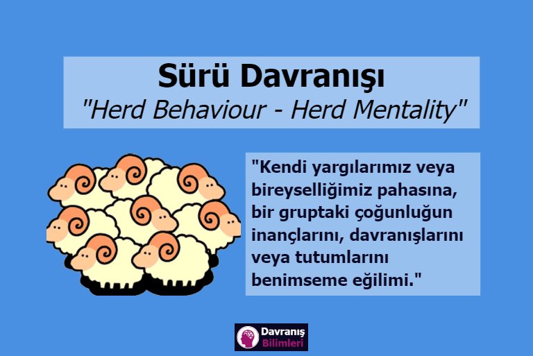 Sürü Davranışı (Herd Behaviour) - DavranisBilimleri.Org